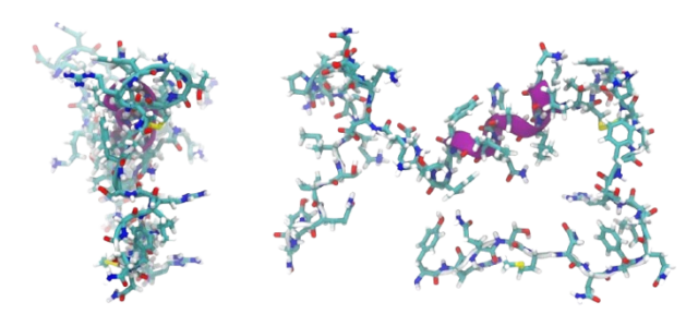 Top 10 Most Popular Peptides in 2025 (Uses, Benefits & Risks)MuscleChem