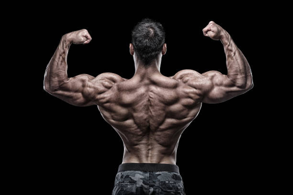 Mass-Gainer SARMs Stacks 2026: Pros & ConsMuscleChem